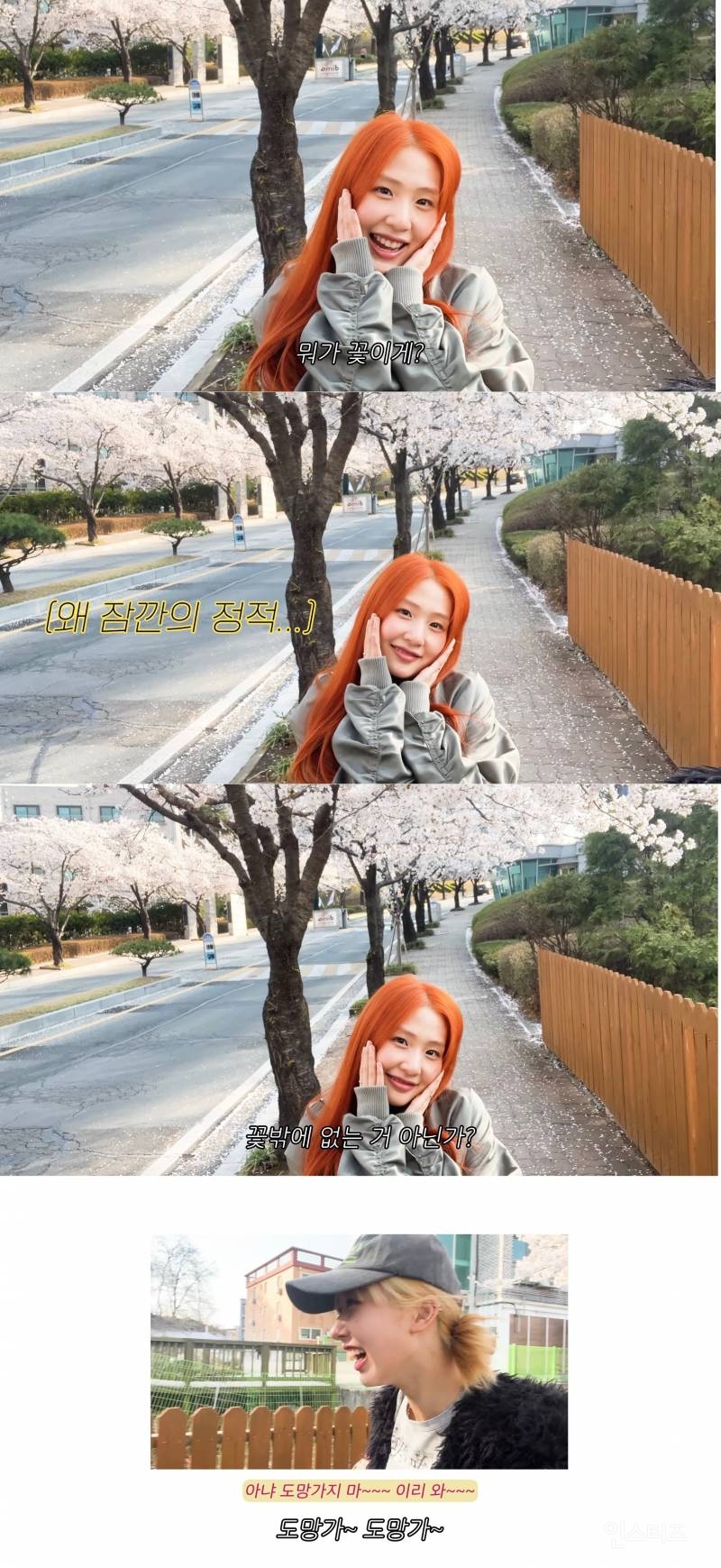 생각보다 평범한 아이돌의 대학교 브이로그.jpg - 인스티즈(instiz) 이슈 카테고리