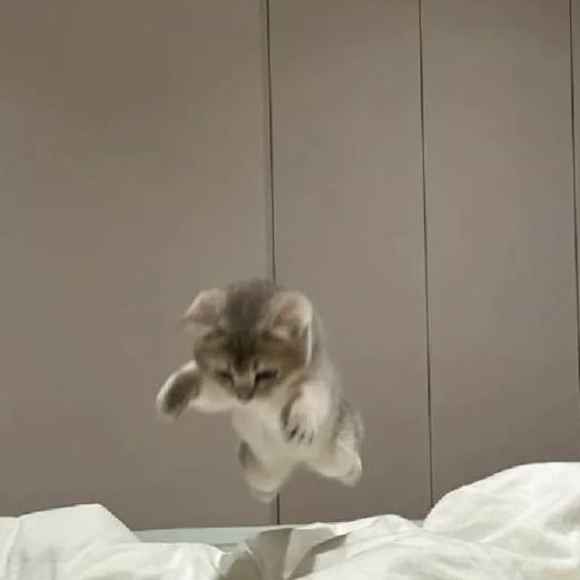 얘들아 오늘 무슨 날이게 인스티즈 instiz 일상 카테고리