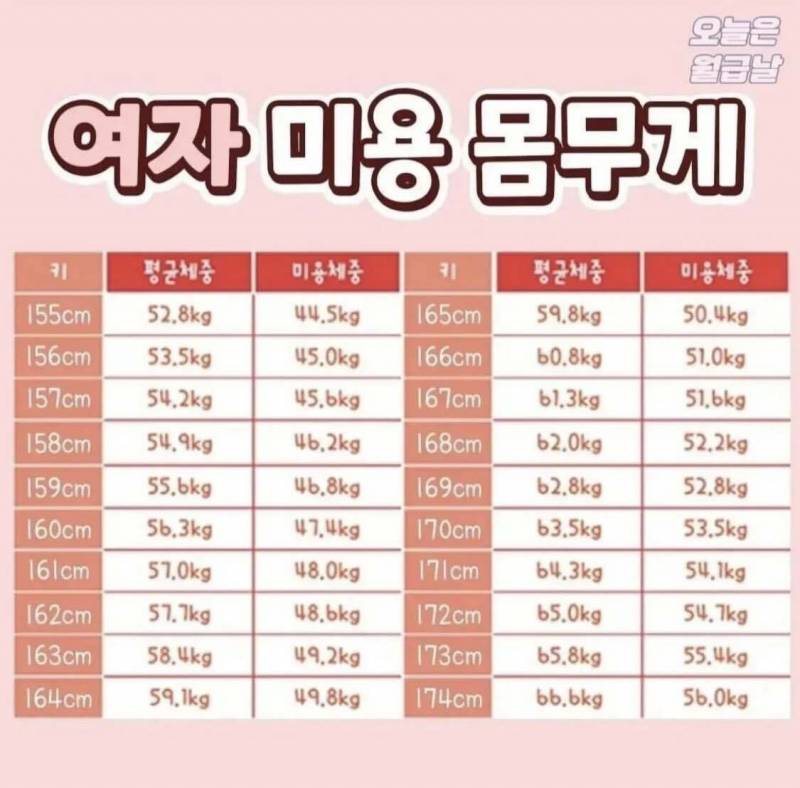 미용몸무게 이거 맞는 거 같아?? - 인스티즈(instiz) 일상 카테고리