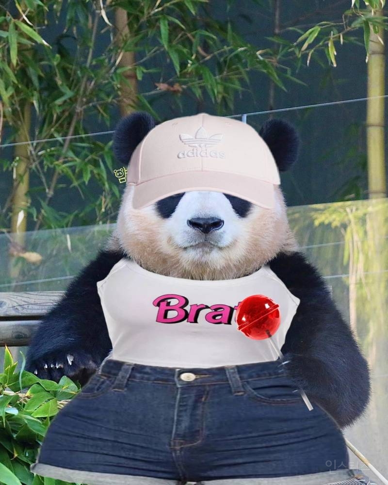 갈때까지 가버린 푸바오 합성 - 인스티즈(instiz) 이슈 카테고리