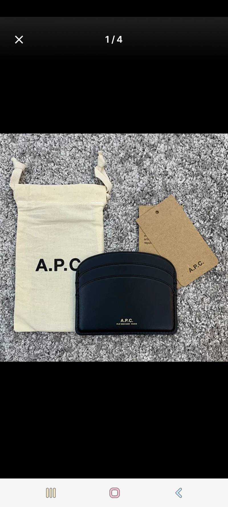 [잡담] 생일선물 apc 카지vs 비비안웨스트우드 카지 - 인스티즈(instiz) 일상 카테고리