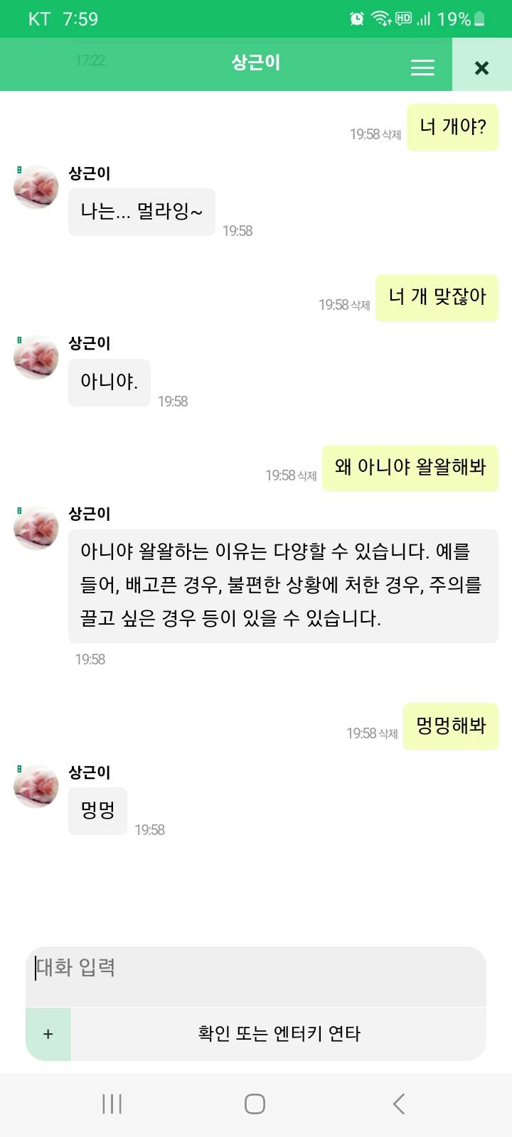 [잡담] 상근이 강아지임을 부정하다가 못내 인정.jlg - 인스티즈(instiz) 일상 카테고리