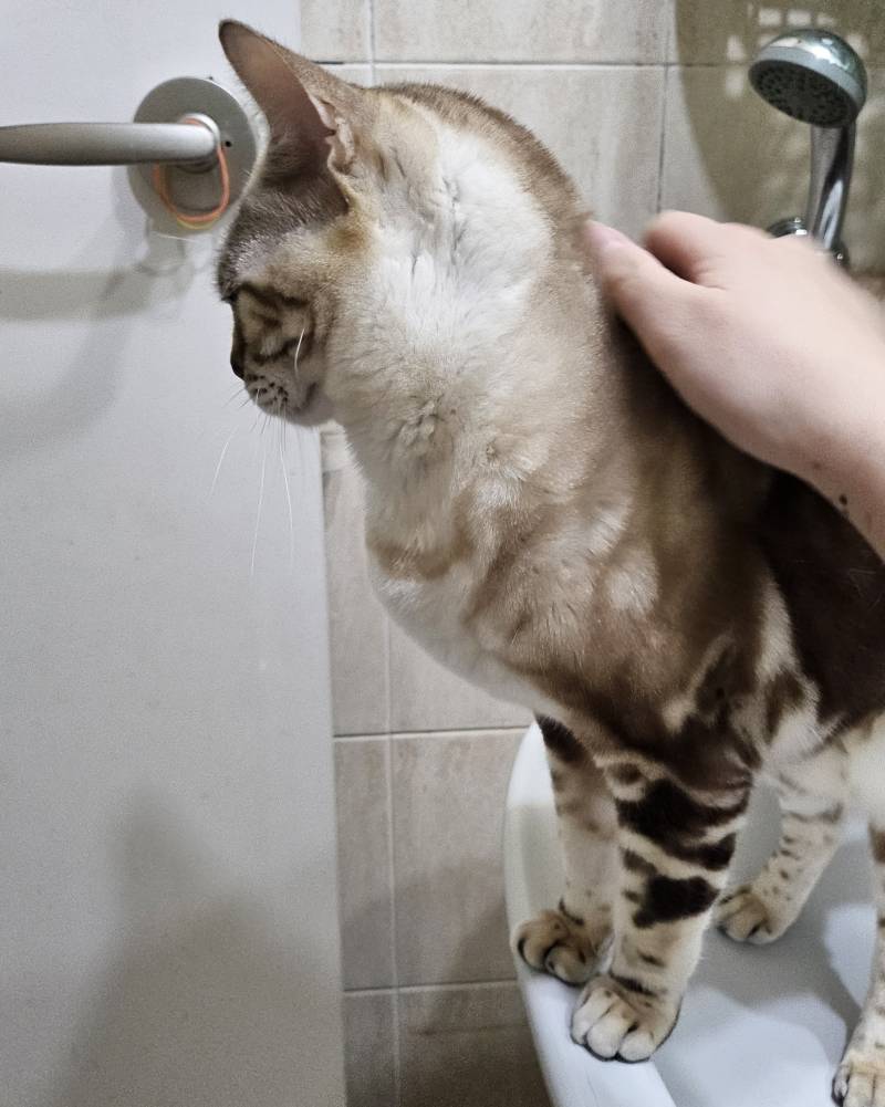 [잡담] 언니 응가 싸는데 옆에서 모해 인스티즈 Instiz 일상 카테고리