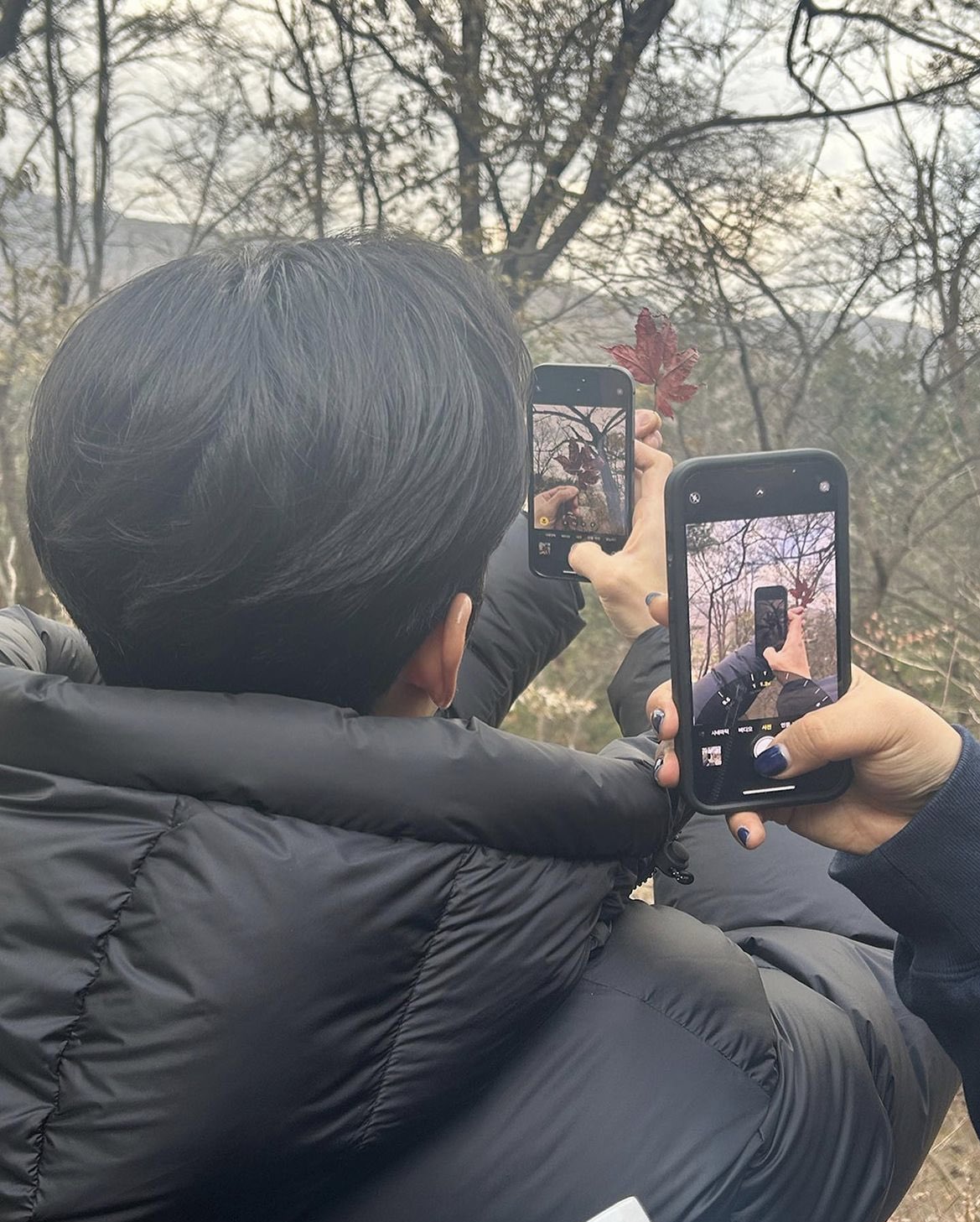 [잡담] 김수현 머리숱도 많네 - 인스티즈(instiz) 드영배 카테고리