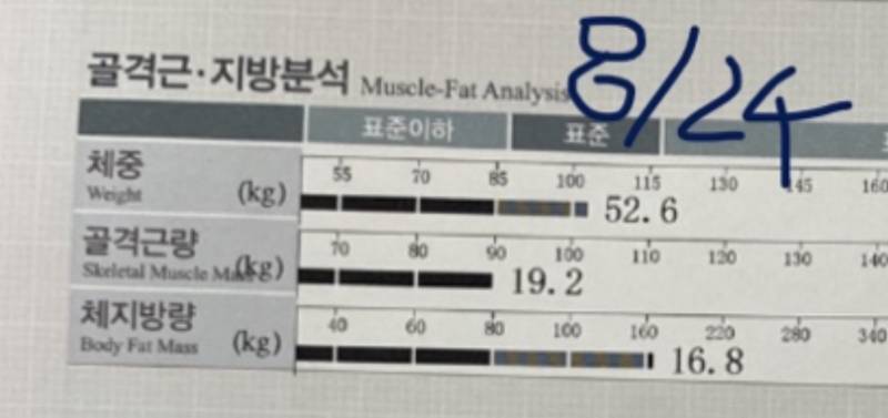 [잡담] 3개월만에 근육량 1.4kg늘었다 - 인스티즈(instiz) 일상 카테고리