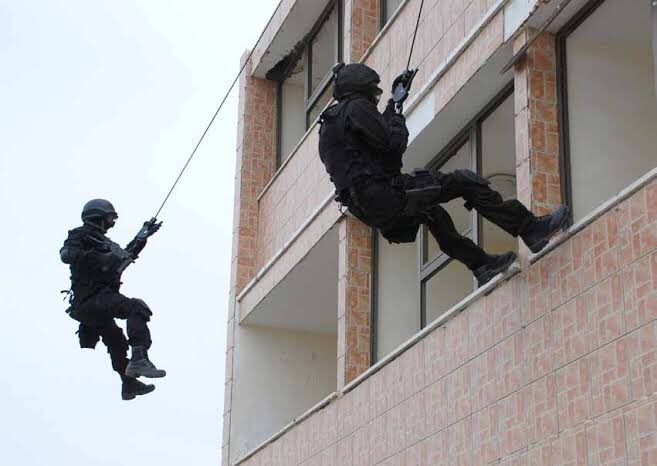 [잡담] 박형식도 SDT 출신인데 간지 개쩜... - 인스티즈(instiz) 연예 카테고리