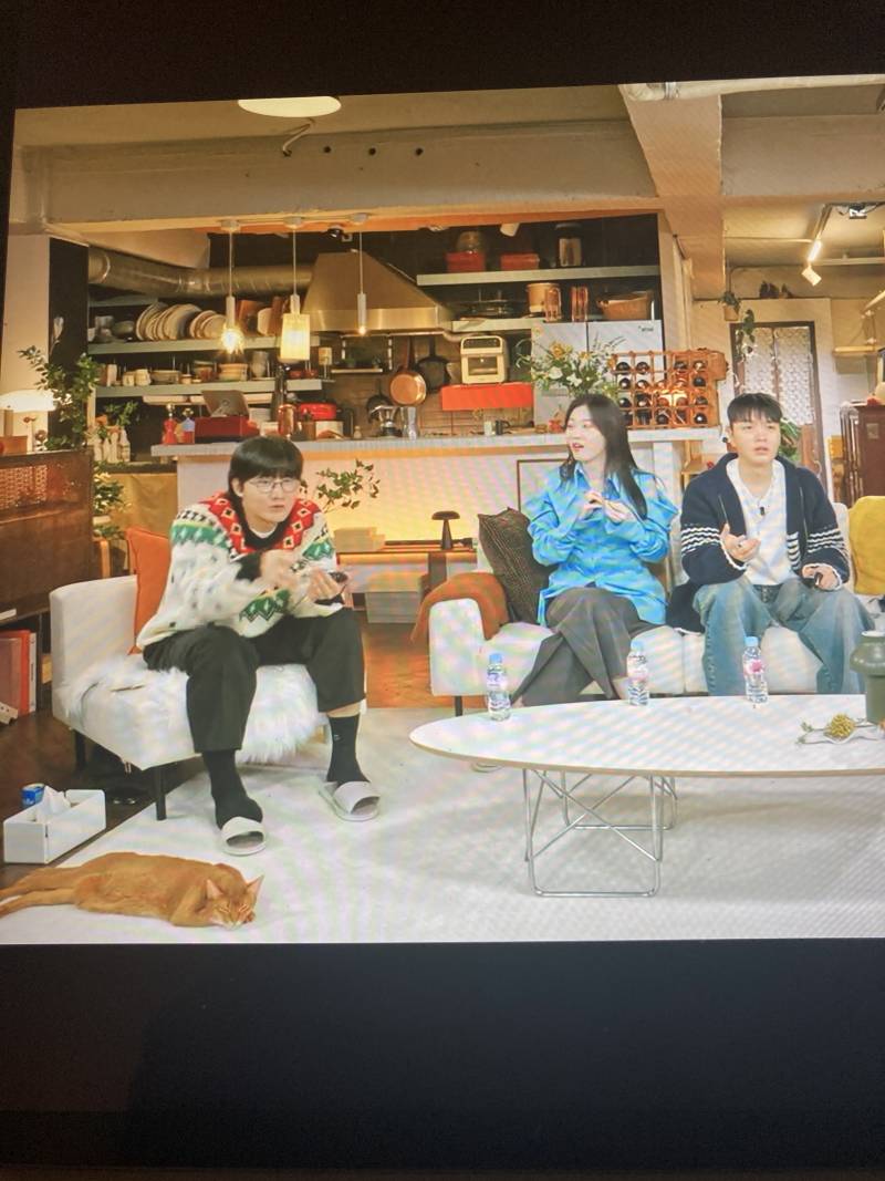 [잡담] 헐 환연 MC 스튜디오에 고양이 있었네 - 인스티즈(instiz) 일상 카테고리