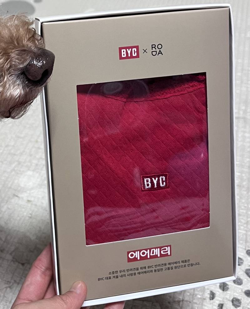 [잡담] BYC 강아지 내복봤어???? - 인스티즈(instiz) 일상 카테고리