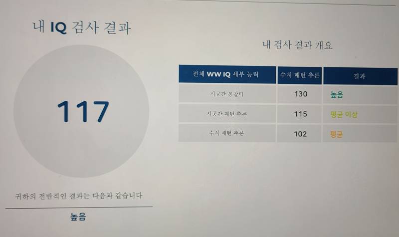 [잡담] 갑자기 iq테스트 돈 내고 했는데 좋은것만 기억하고 싶다... - 인스티즈(instiz) 일상 카테고리
