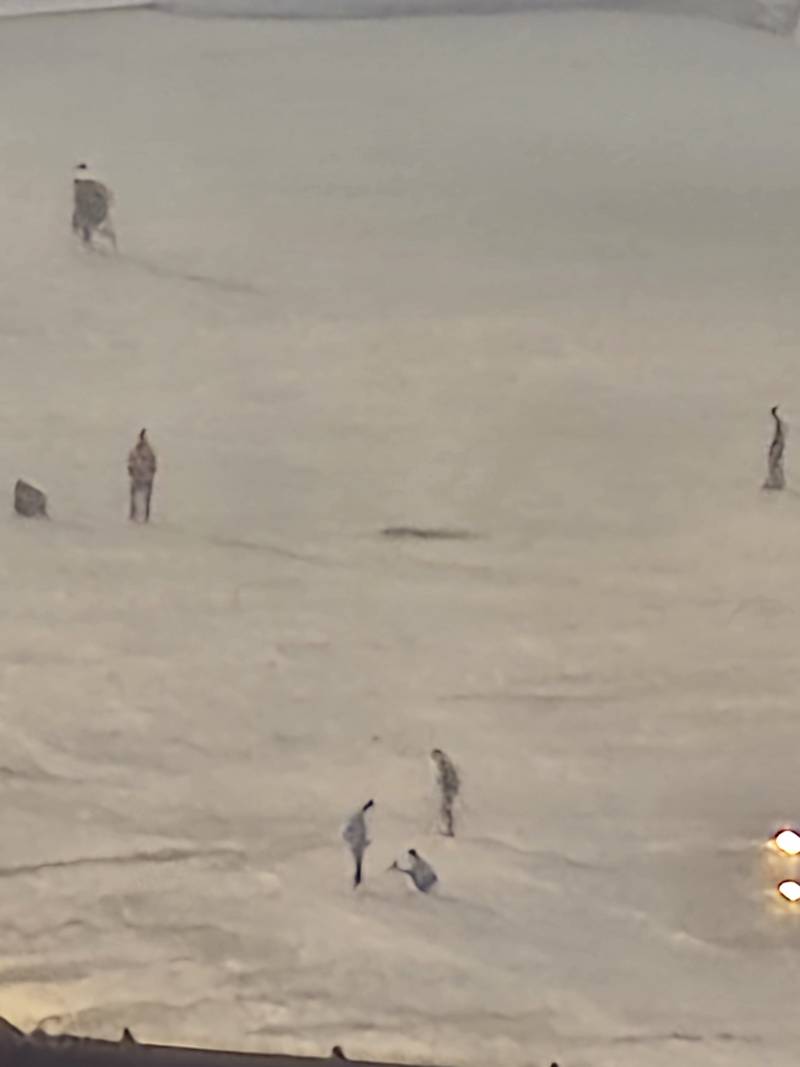 [잡담] 갤럭시 S24 울트라 샀어요 - 인스티즈(instiz) 일상 카테고리