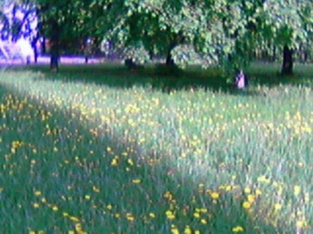 [HQ/시뮬] 어른이 어린이 - 인스티즈(instiz) 글잡담 N 카테고리