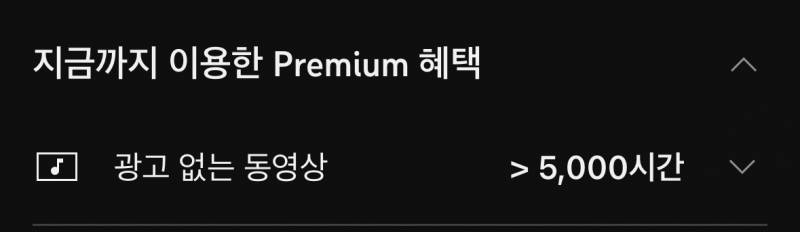 [잡담] 광고 없는 동영상 5000시간 달성 - 인스티즈(instiz) 일상 카테고리