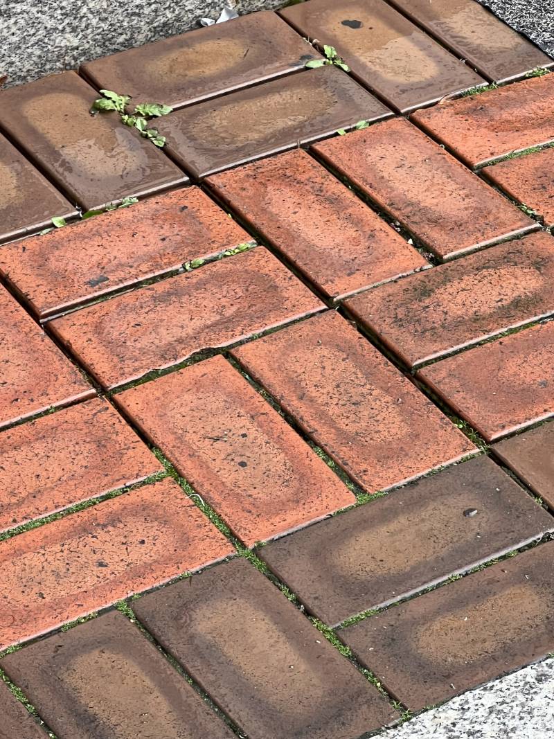 [잡담] 이런 보도블록 넘 짜증남 - 인스티즈(instiz) 일상 카테고리