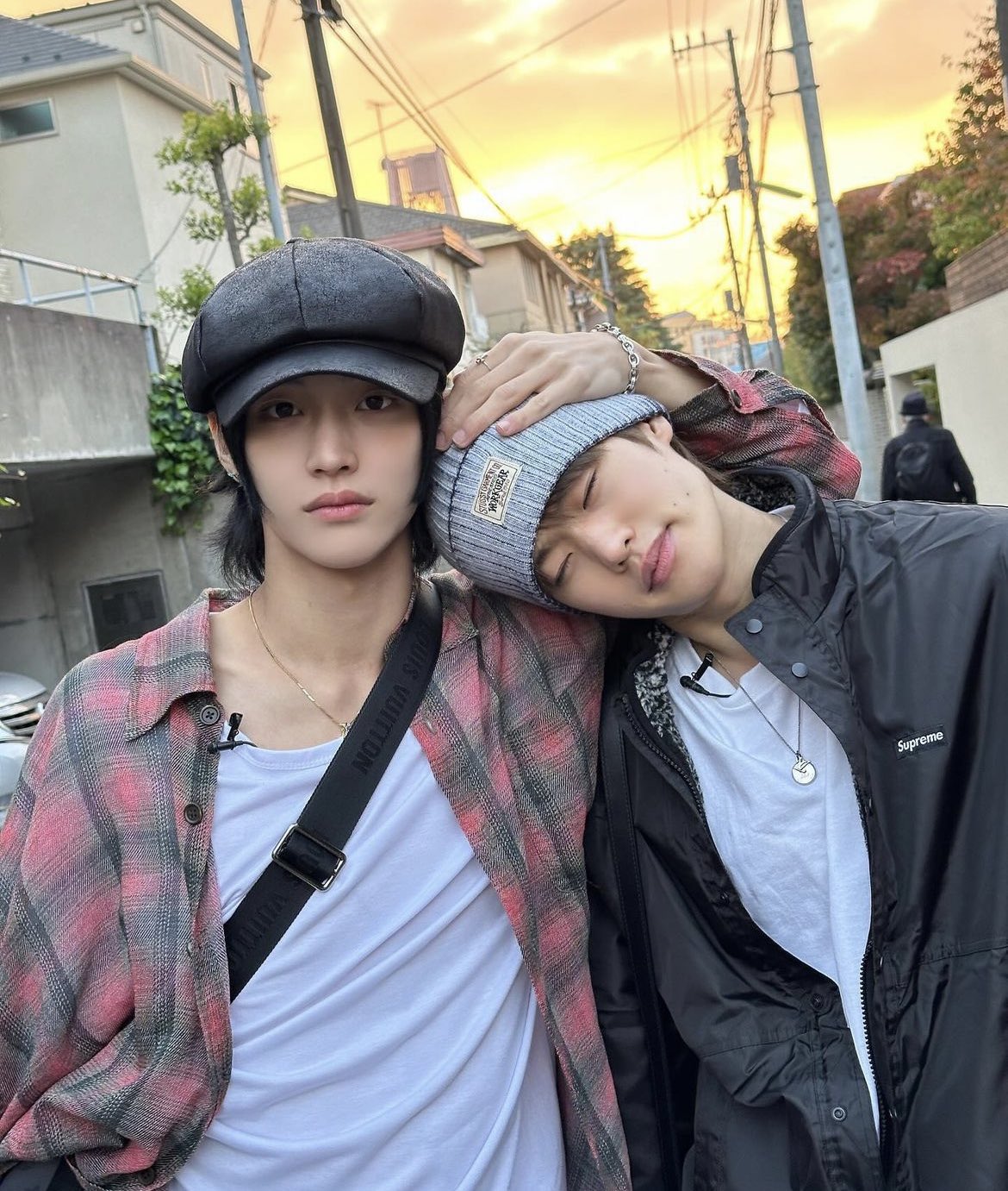 [잡담] 또리비니 폭냐,,, - 인스티즈(instiz) 연예 카테고리