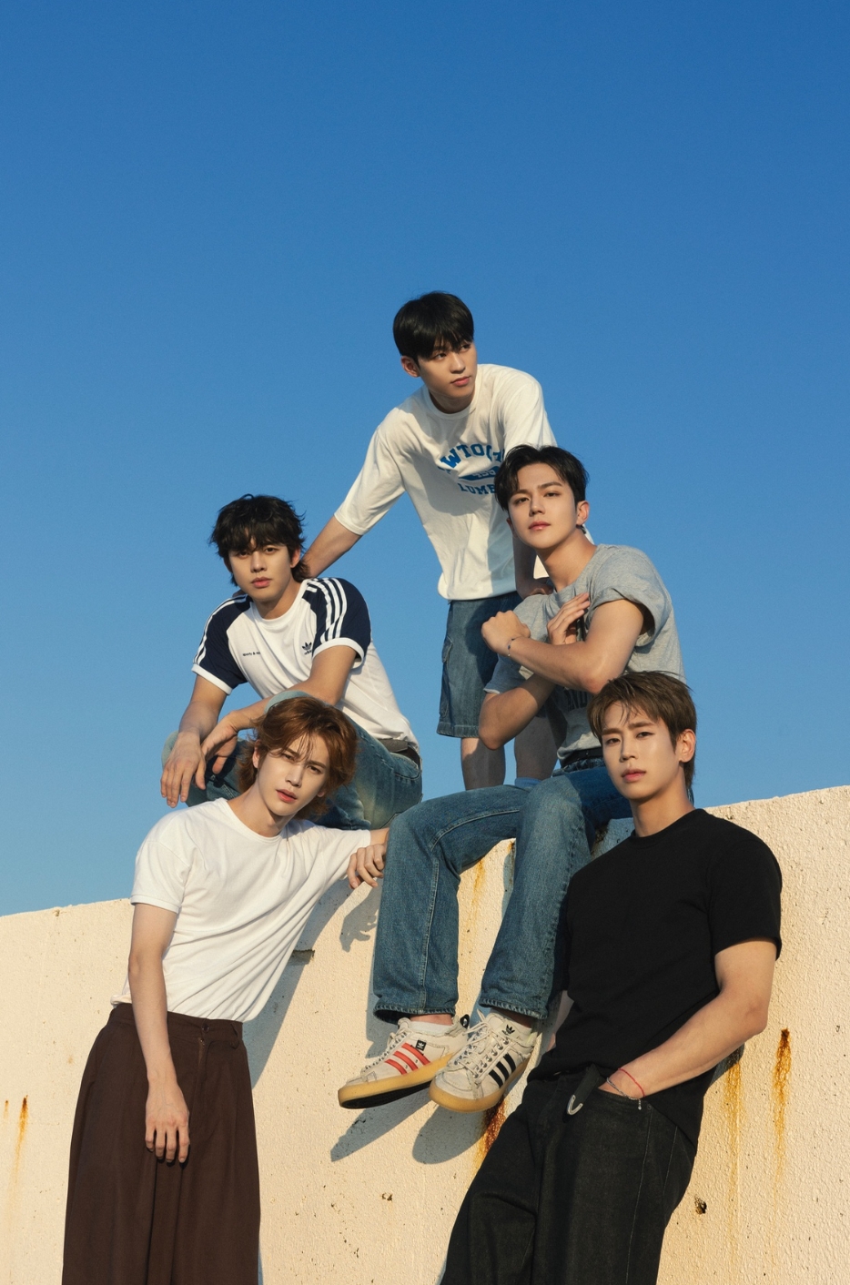 [잡담] SM 트롯돌 vs 임영웅 누가 더 흥할까? - 인스티즈(instiz) 연예 카테고리