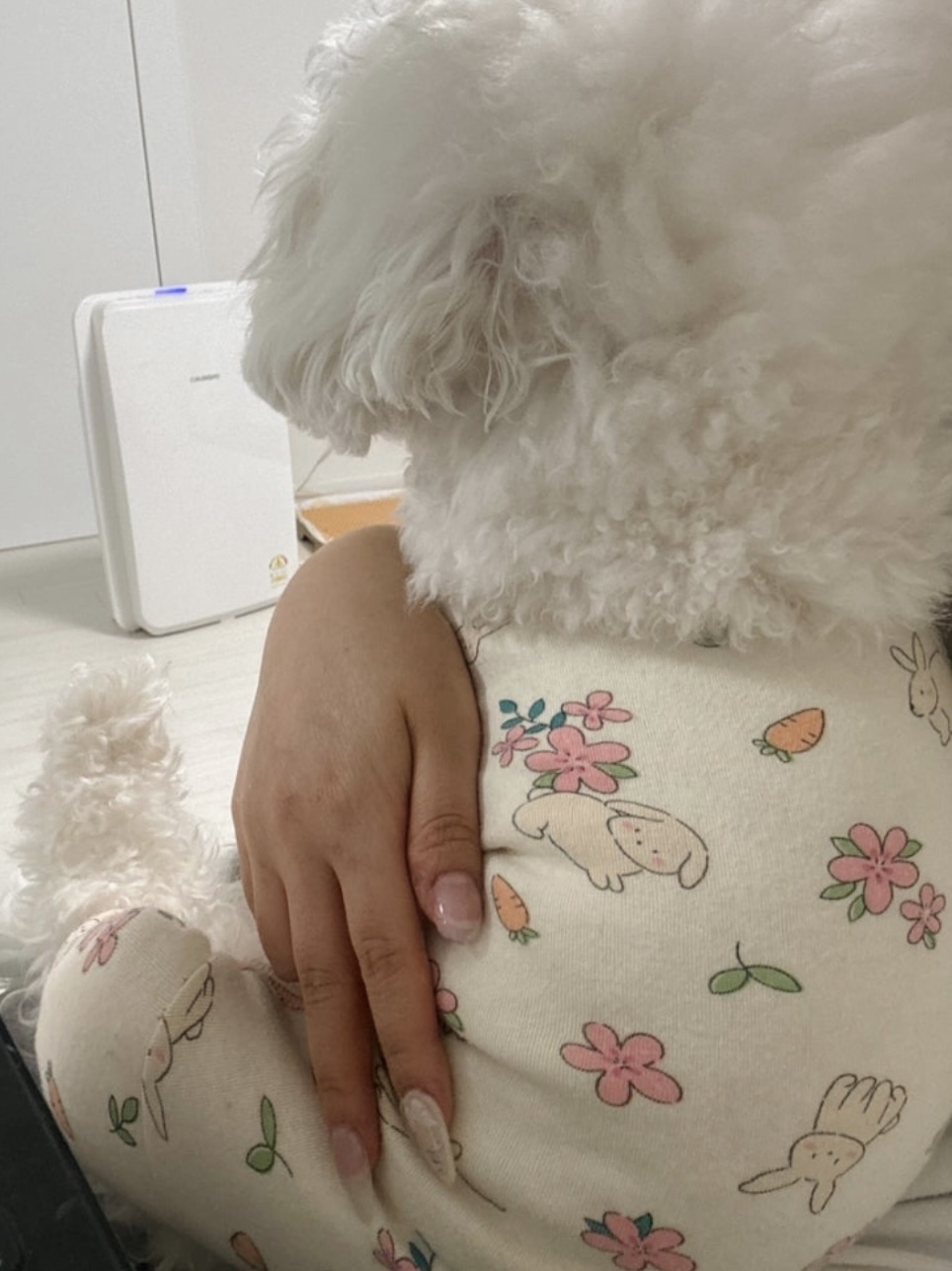 [잡담] 우리집 사랑이 내복핏 볼 사람 - 인스티즈(instiz) 연예 카테고리