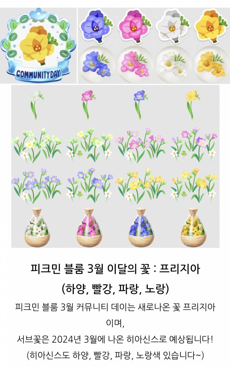 [잡담] 2025년 3월 서브꽃 히아신스 4종 예상 ️ - 인스티즈(instiz) 피크민 카테고리