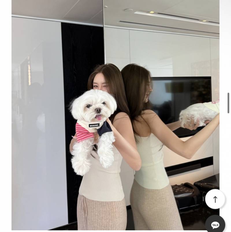 [잡담] 와 몸매 추구미라 부러워하는데 172에 50키로래… - 인스티즈(instiz) 일상 카테고리