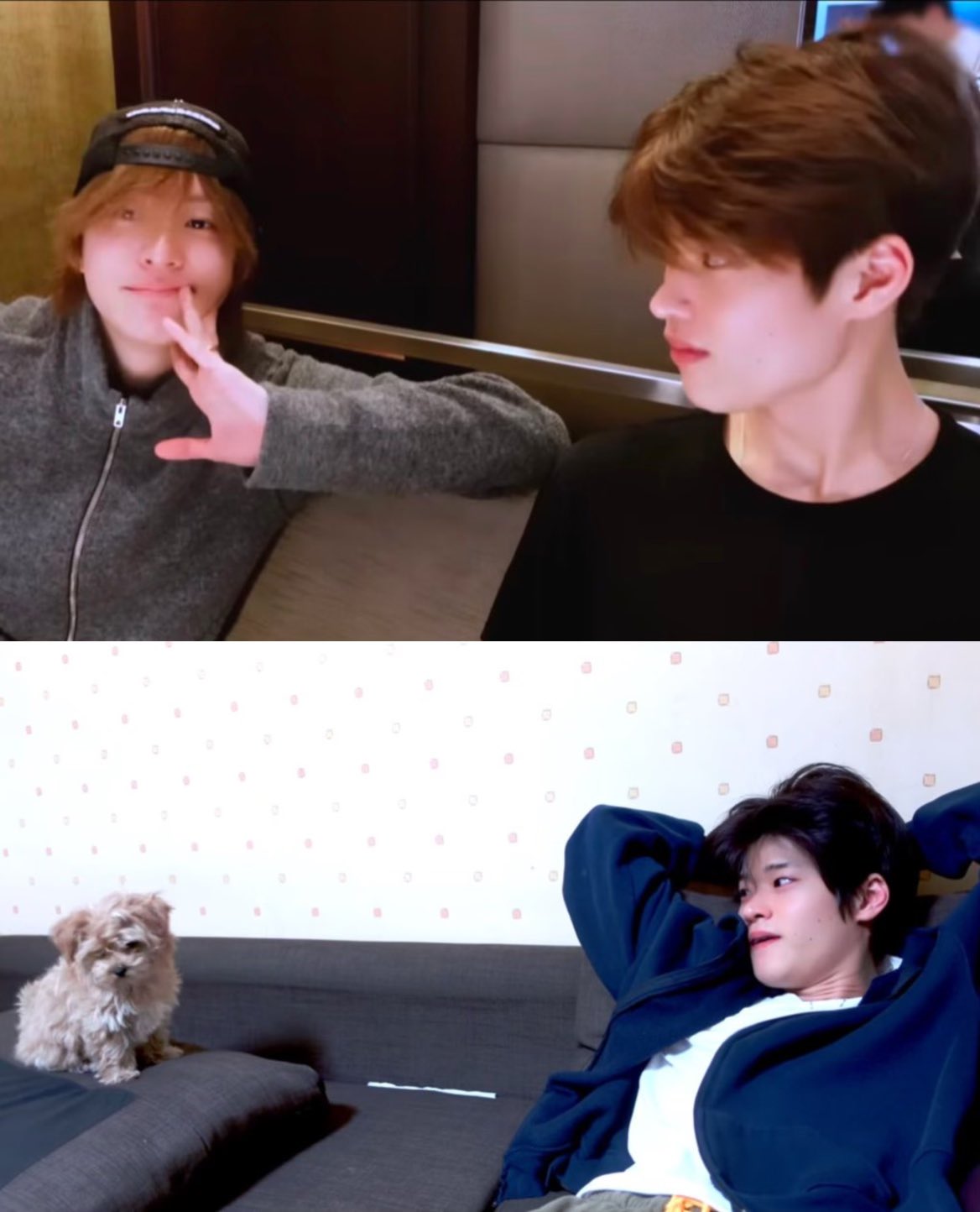 [잡담] 소희랑 앤톤이 ㅋㅋㅋㅋㅋㅋ - 인스티즈(instiz) 연예 카테고리