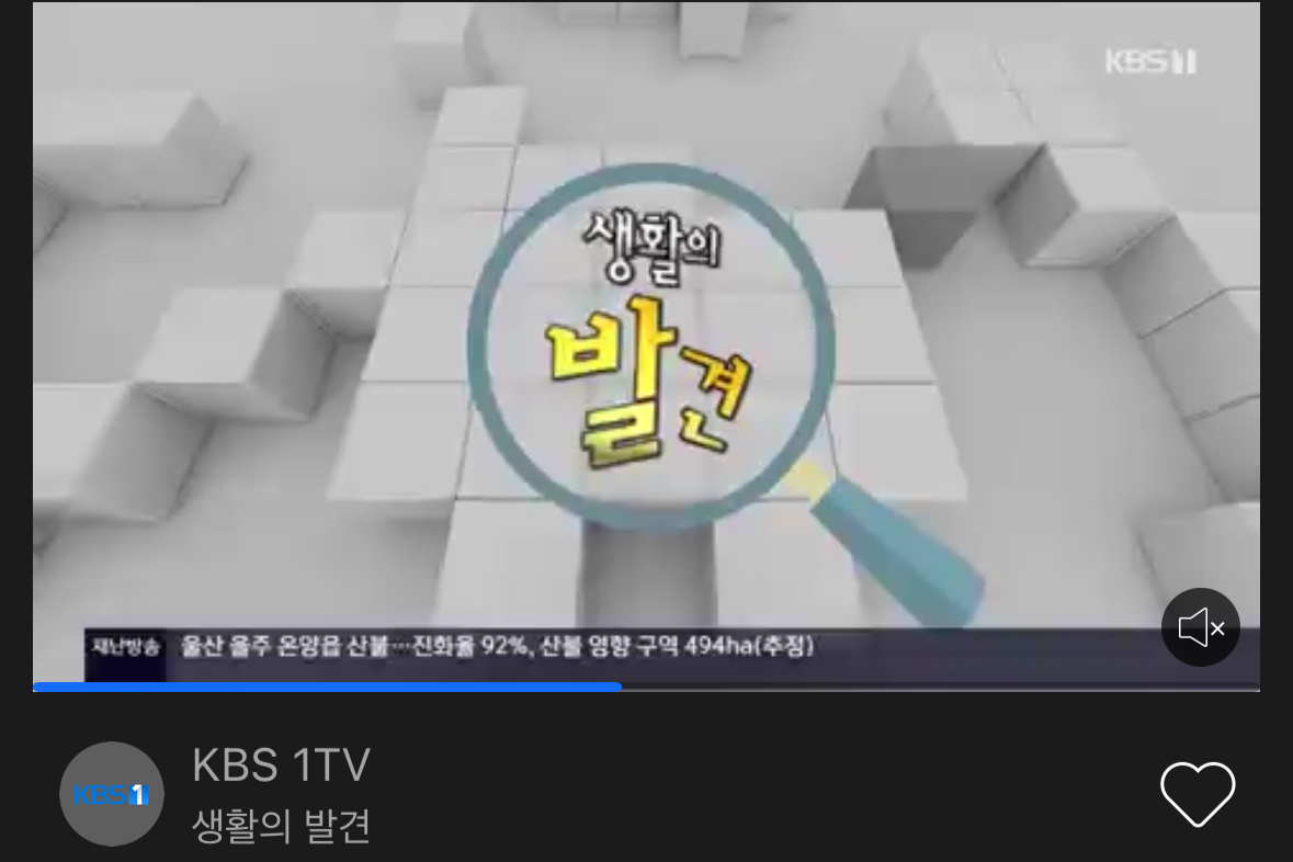 [정보/소식] 국가재난방송사 KBS - 인스티즈(instiz) 연예 카테고리