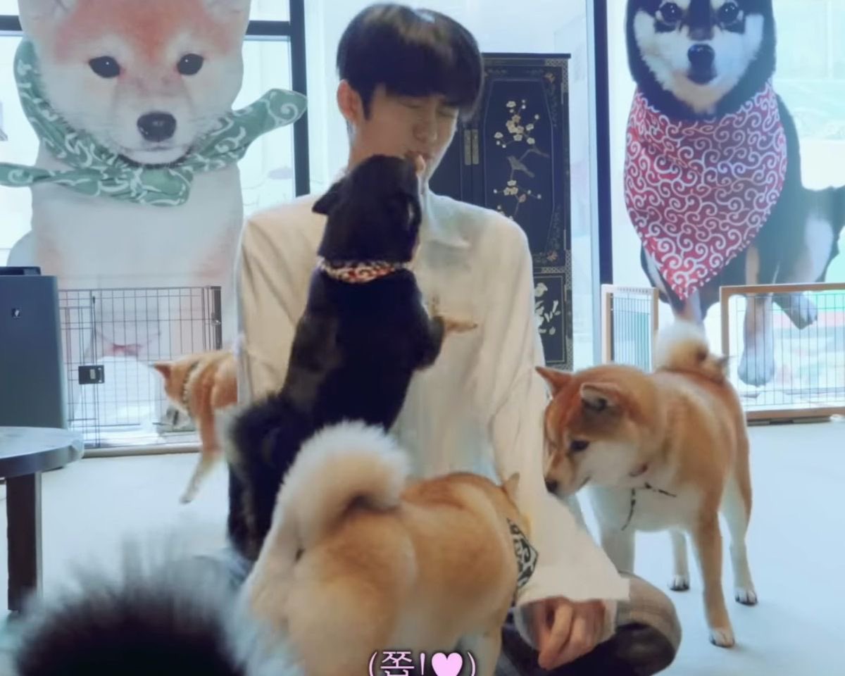 [잡담] 재현 (yes nct) 이 이 영상 볼때마다 - 인스티즈(instiz) 연예 카테고리