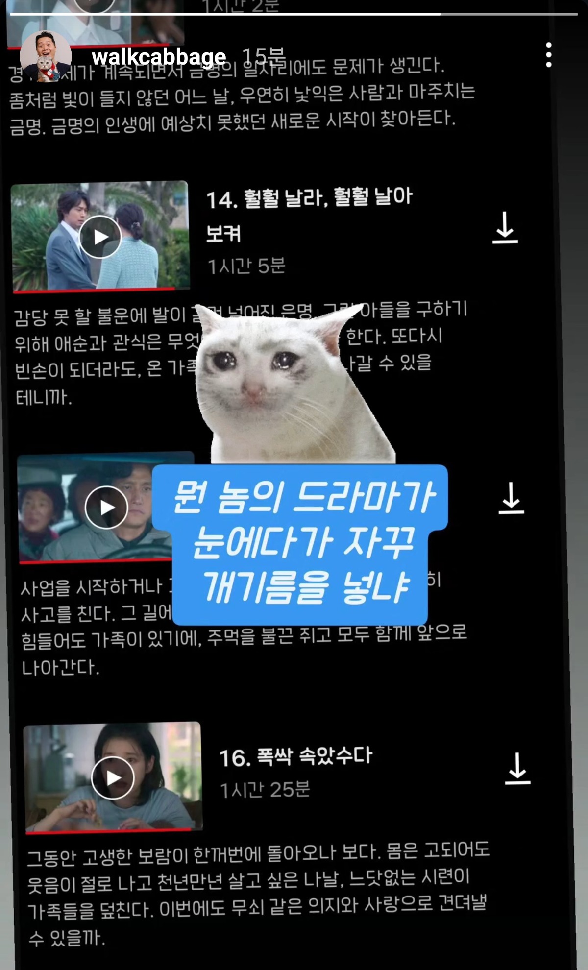 [잡담] 유튜버 진돌 인스스ㅋㅋㅋㅋ - 인스티즈(instiz) 드영배 카테고리