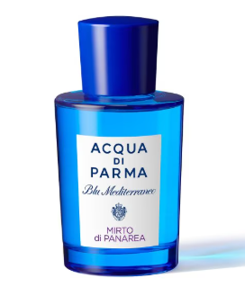 여름맞이 짭쪼름한 바다가 생각나는 향수.ZIP - 인스티즈(instiz) 이슈 카테고리