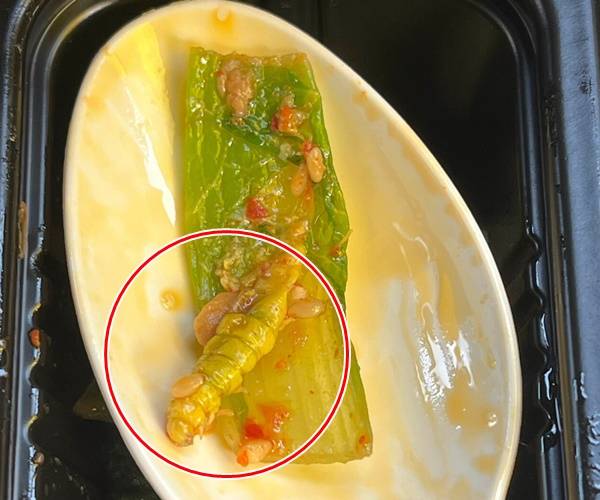 현재 난리 난 진에어 기내식 애벌레 (크기주의) - 인스티즈(instiz) 이슈 카테고리