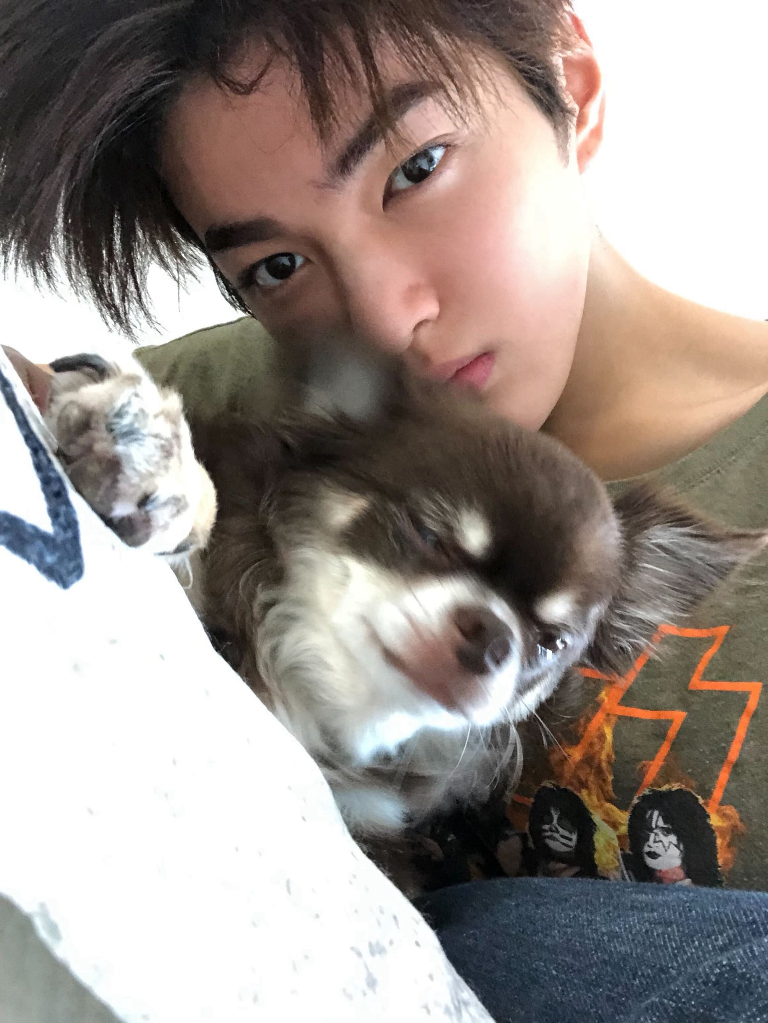 코르티스 건호랑 강아지 짱똑.. - 인스티즈(instiz) 연예 카테고리