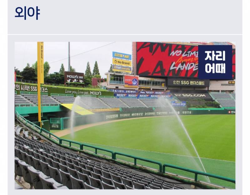 3루 내야필드 3연석 갈 사람 있어? - 인스티즈(instiz) SSG 카테고리