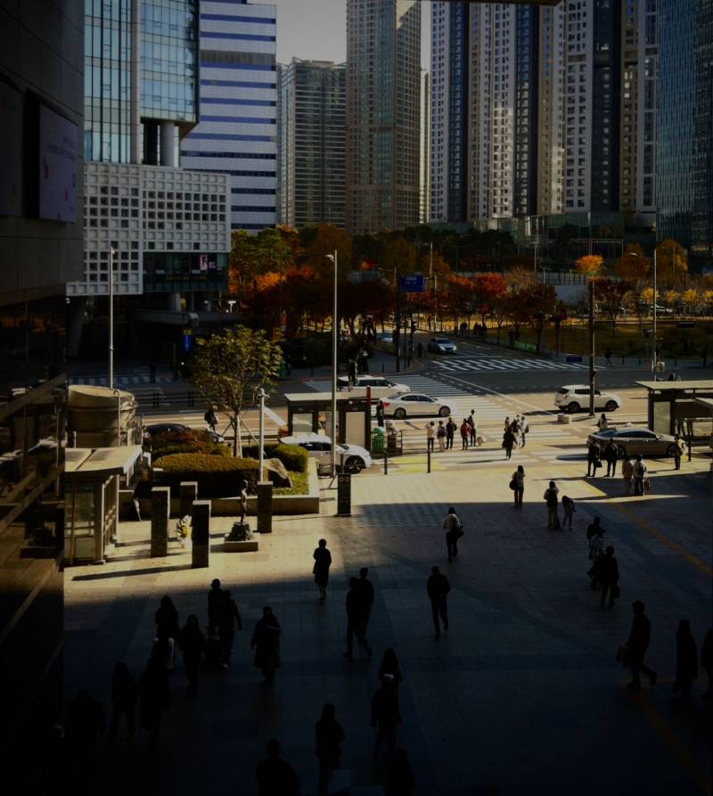 아이폰4로 찍은 사진들 (2) - 인스티즈(instiz) 일상 카테고리