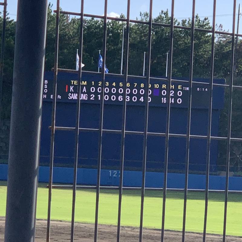 오늘 연경했는데 16실점 2안타 - 인스티즈(instiz) KIA 카테고리