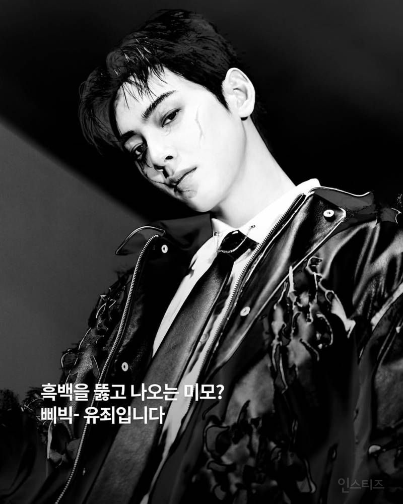 존재자체가 유죄인간이라는 차은우.jpg - 인스티즈(instiz) 이슈 카테고리