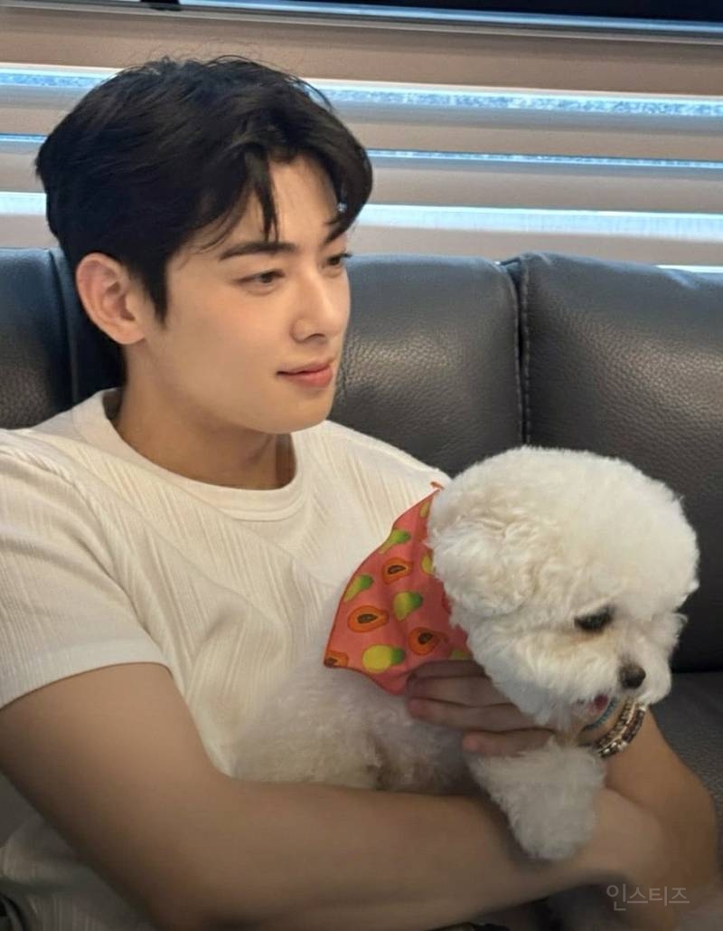 예쁘다고 소문난 차은우 반려견 등장한 뮤비 티저 .jpg - 인스티즈(instiz) 이슈 카테고리