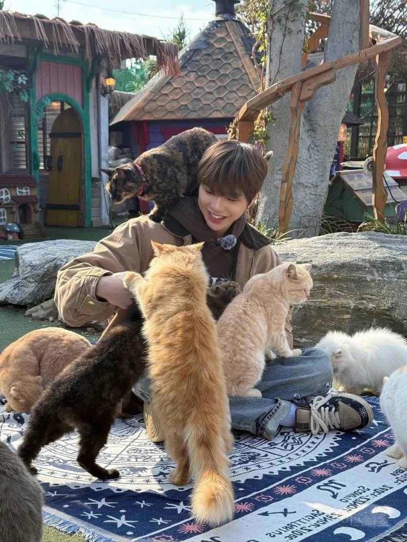 강다니엘 인스타그램 업데이트 - 인스티즈(instiz) 이슈 카테고리