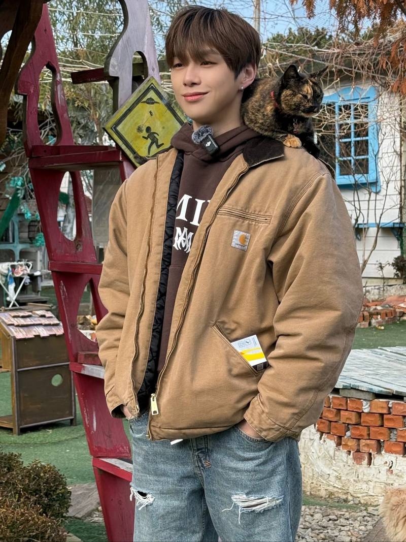 강다니엘 인스타그램 업데이트 - 인스티즈(instiz) 이슈 카테고리