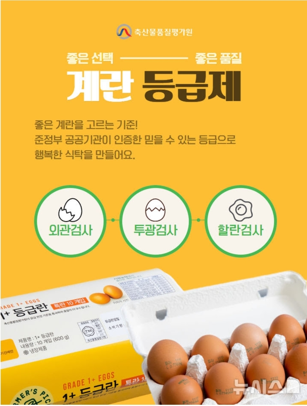[정보/소식] 또또 억울하게 마녀사냥 당한 이경실 - 인스티즈(instiz) 연예 카테고리