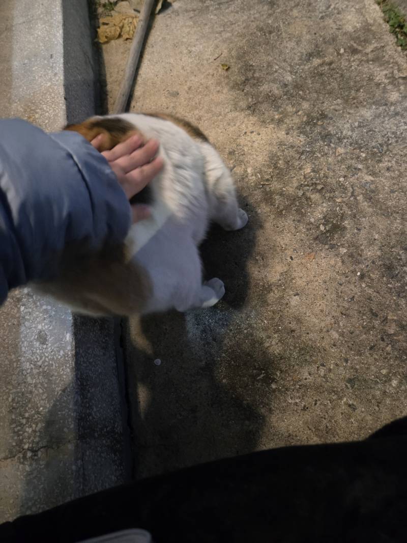 부럽지부럽지 - 인스티즈(instiz) 일상 카테고리