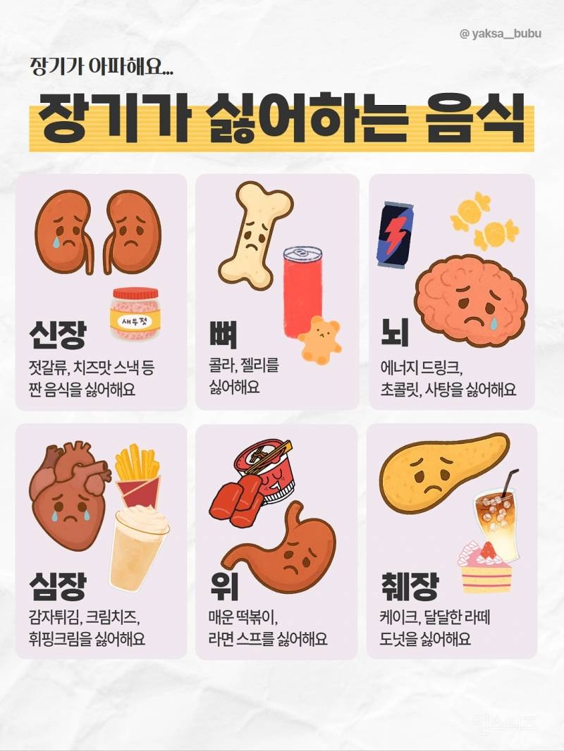 장기가 싫어하는 음식 - 인스티즈(instiz) 이슈 카테고리