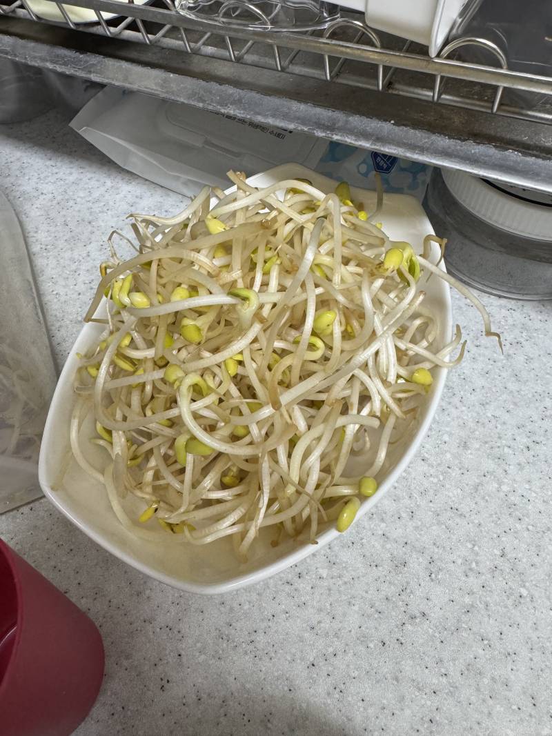 콩나물 이거 까매진거야? 버려야돼? - 인스티즈(instiz) 일상 카테고리