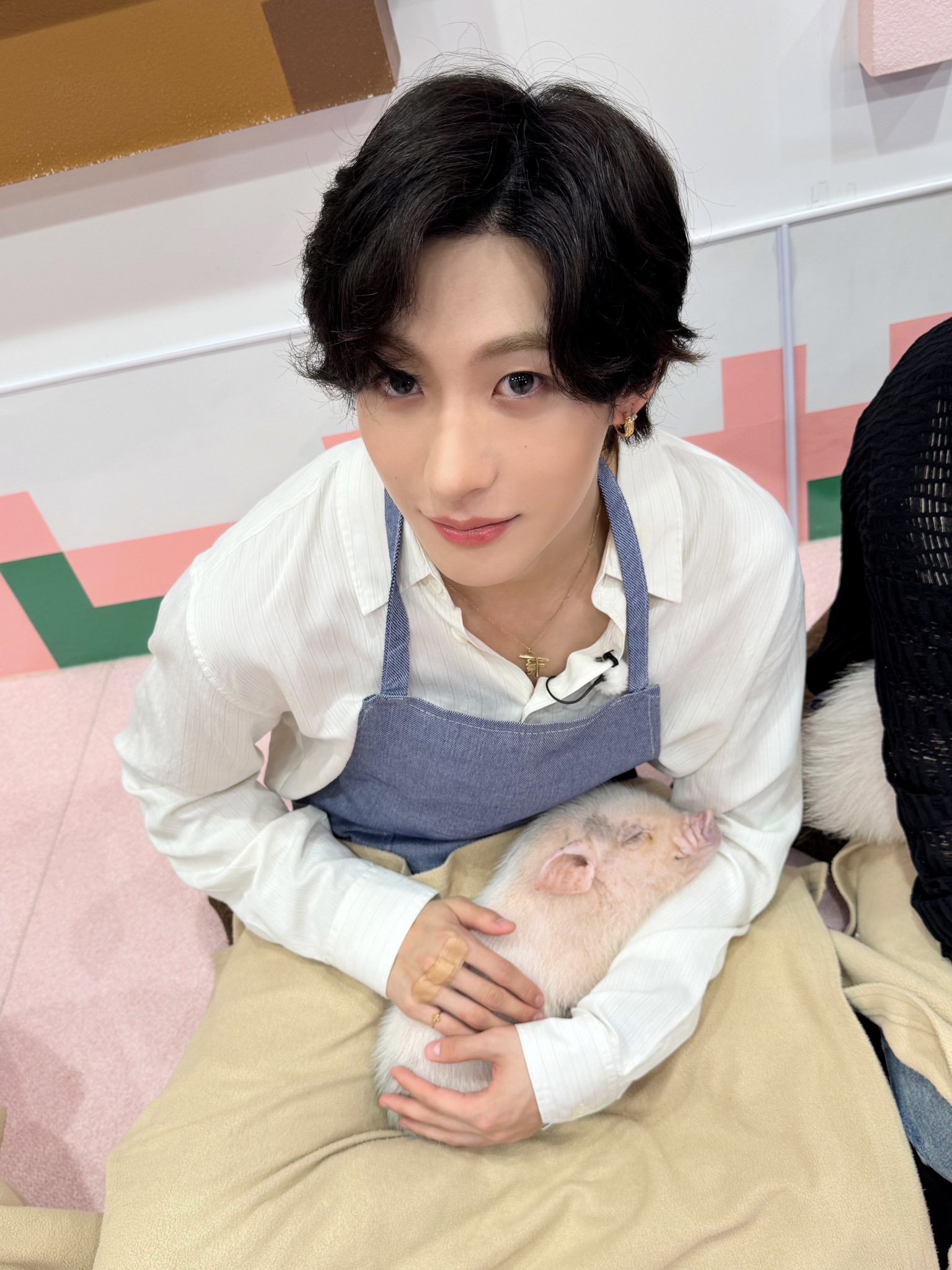 앤톤한테 안긴 돼지 되게 귀엽게 잔다 - 인스티즈(instiz) 연예 카테고리