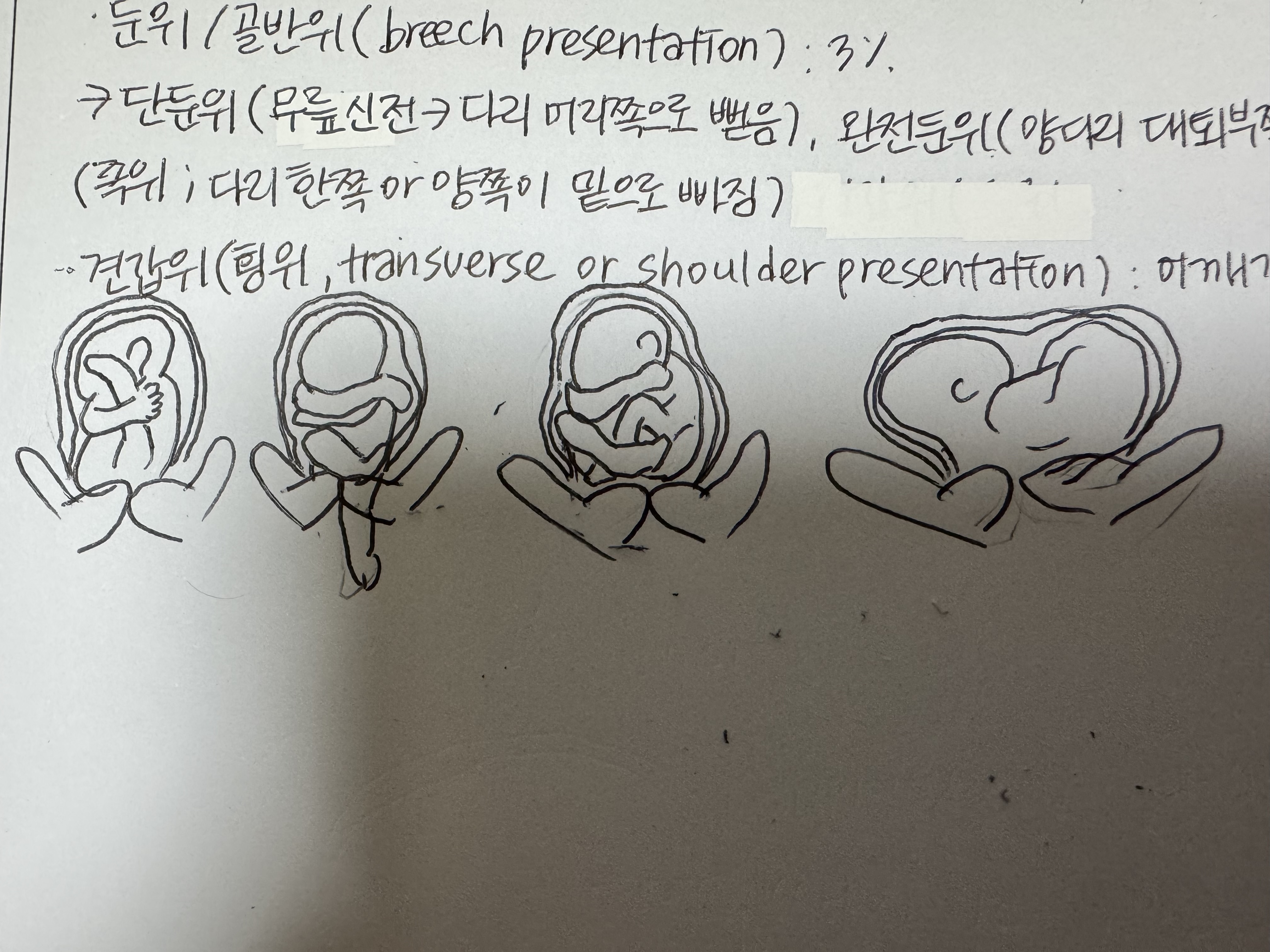 과제 때문에 가볍게 그림구리는데 왤케 웃기냐 아 - 인스티즈(instiz) 일상 카테고리