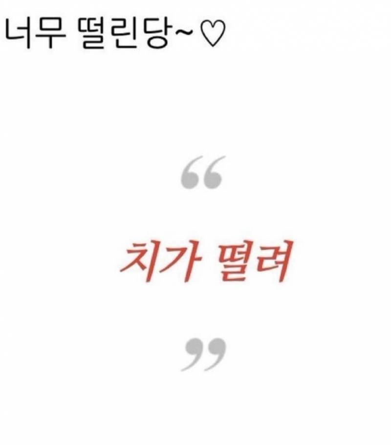 자선야구 보러가는사람? - 인스티즈(instiz) 야구 카테고리