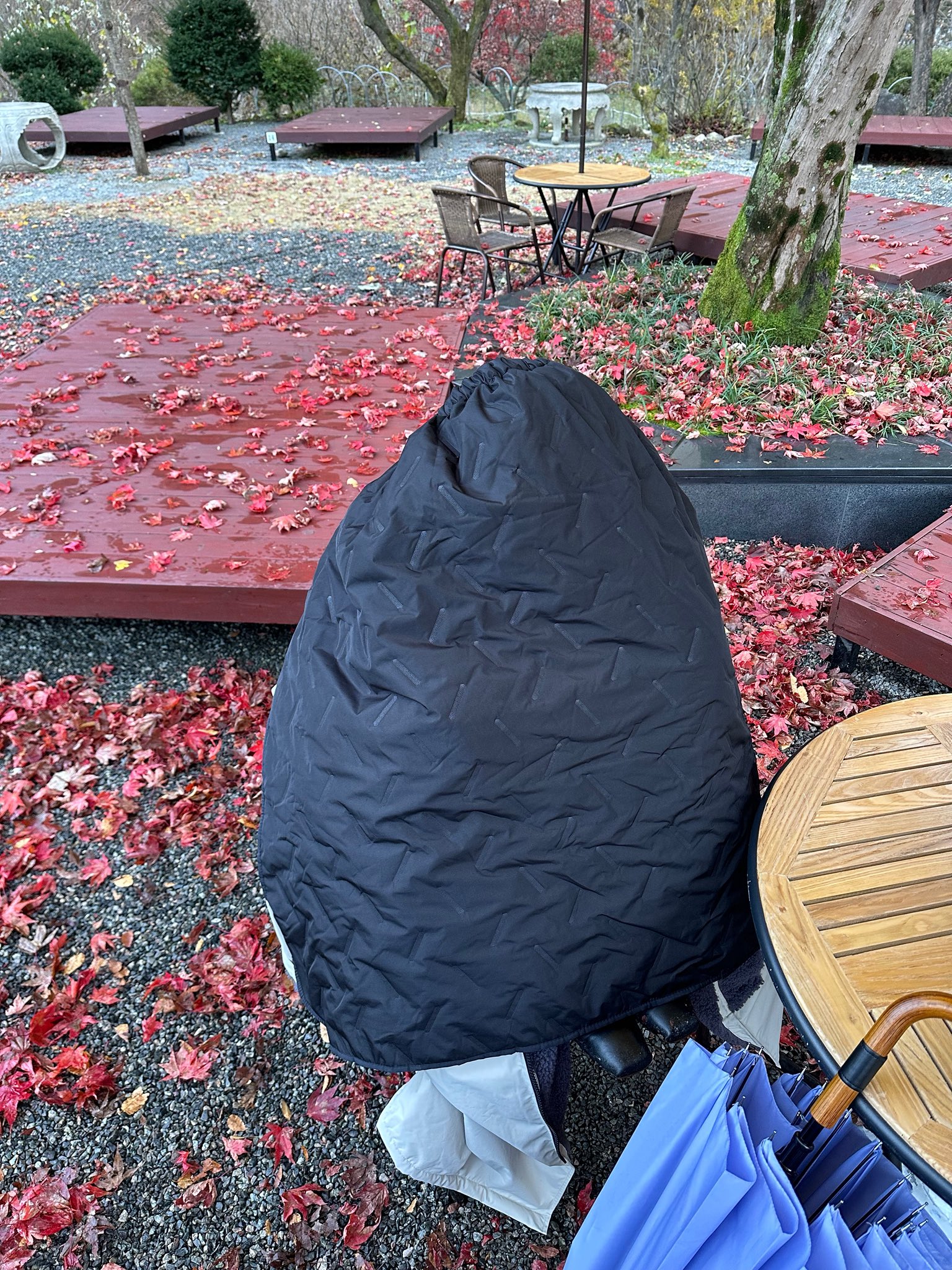 촬영 중 추울 땐 이성경 처럼 - 인스티즈(instiz) 드영배 카테고리