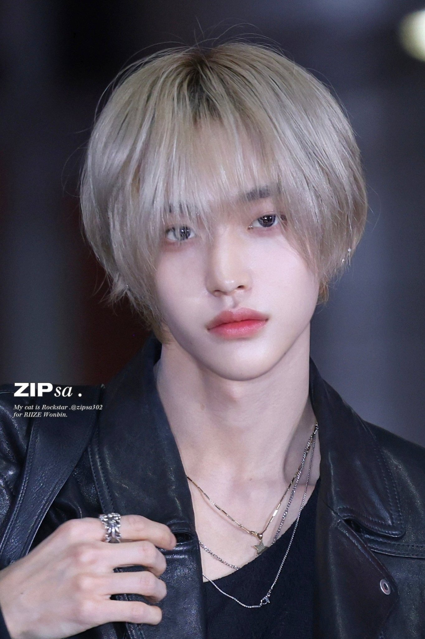 요즘 원빈이 얼굴 최고점 찍은듯 - 인스티즈(instiz) 연예 카테고리