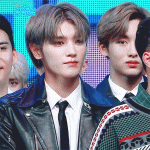 타팬의 눈이 정확하다고 얘 강아지야 고양이야???(feat. NCT) - 인스티즈(instiz) 연예 카테고리