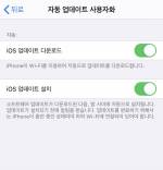 이거 두개 키고 와이파이 + 충전 해두면 자동으로 ios14 돼?? - 인스티즈(instiz) 일상 카테고리