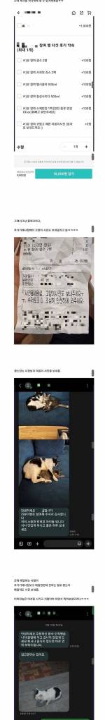 배달시켰는데 겪은 고양이 썰.ssul - 인스티즈(instiz) 이슈 카테고리