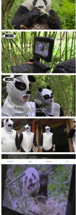 ﻿판다 다큐 찍으러 중국에 간 한국 pd들 ... - 인스티즈(instiz) 이슈 카테고리