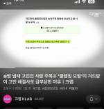 인티 겨드랑이로 kbs 진출 - 인스티즈(instiz) 일상 카테고리